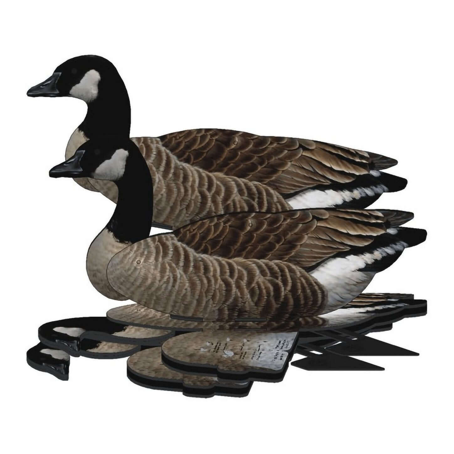 Lesser Canada Goose Decoy – Collapsible Full Body Goose Decoys
